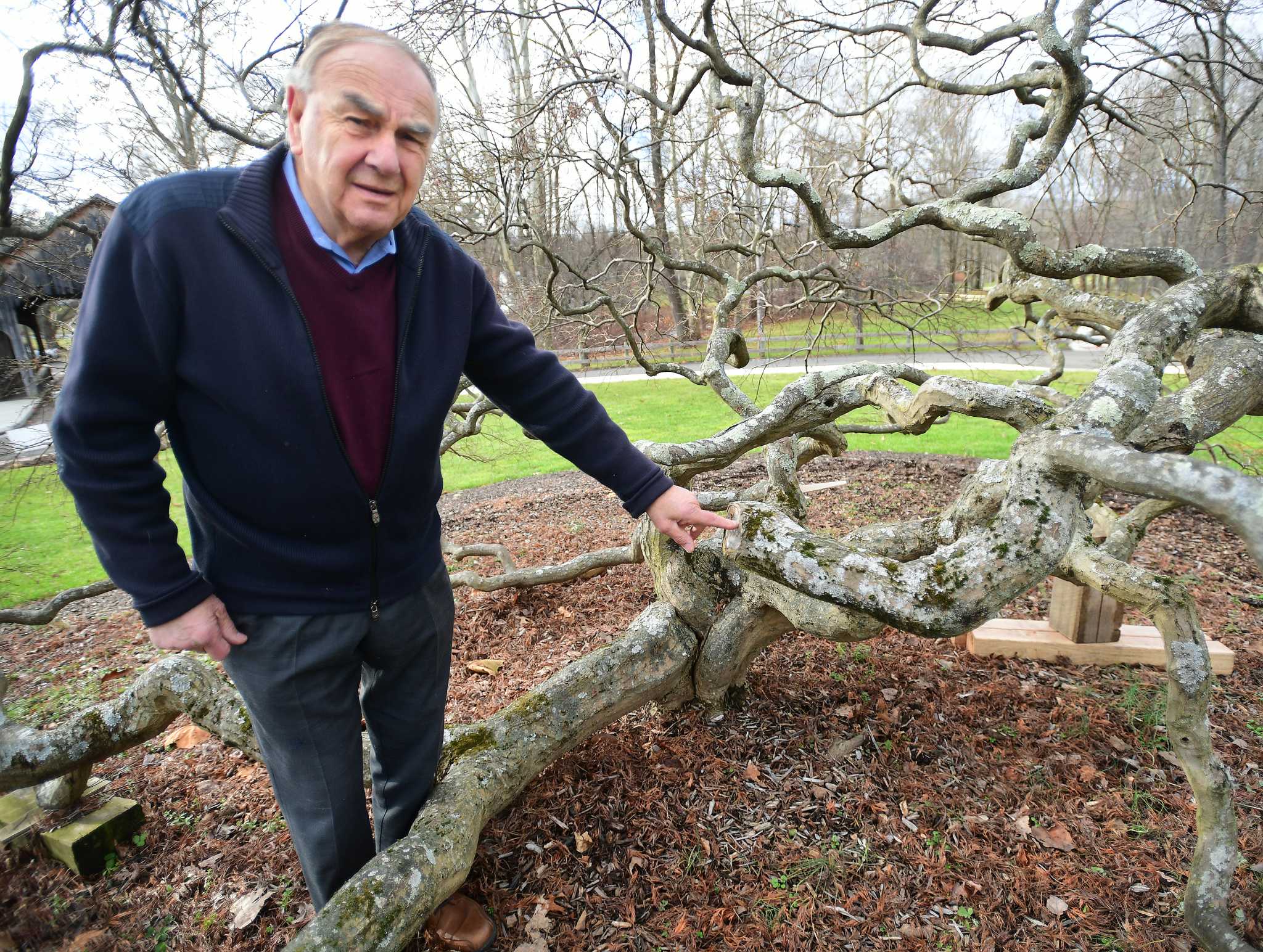 Jacques retires after working as Trumbull tree warden for 50 years