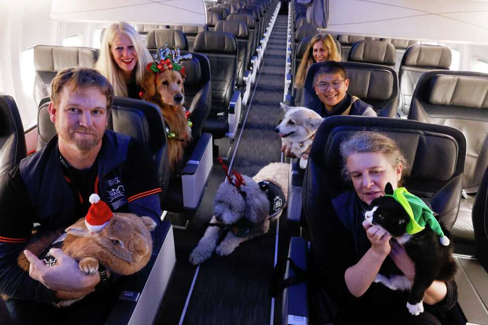 Inside the fabulous lives of SFO’s therapy animals