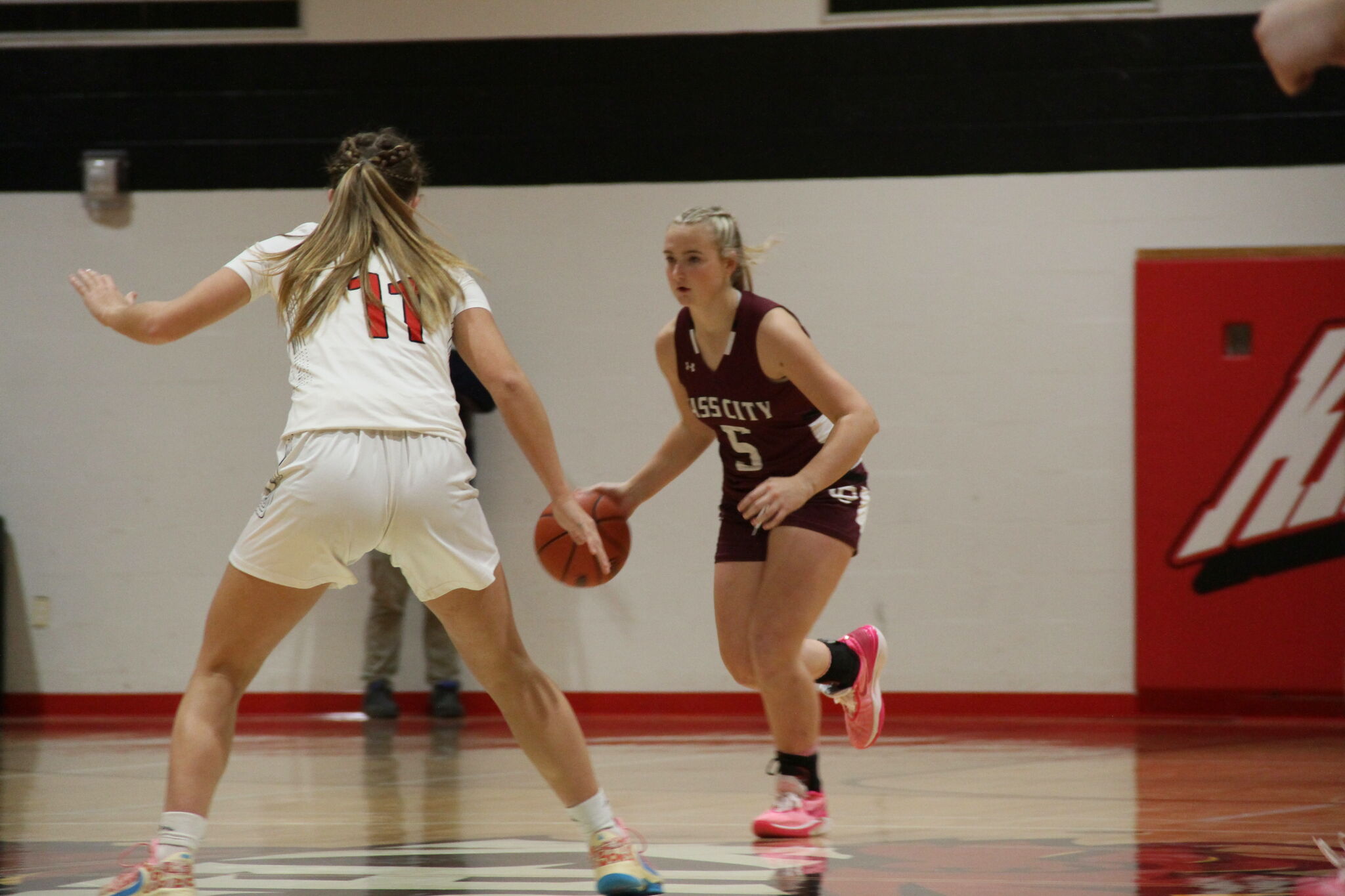 Cass City's McIntryre, Deckerville's Salowitz lead girls standouts