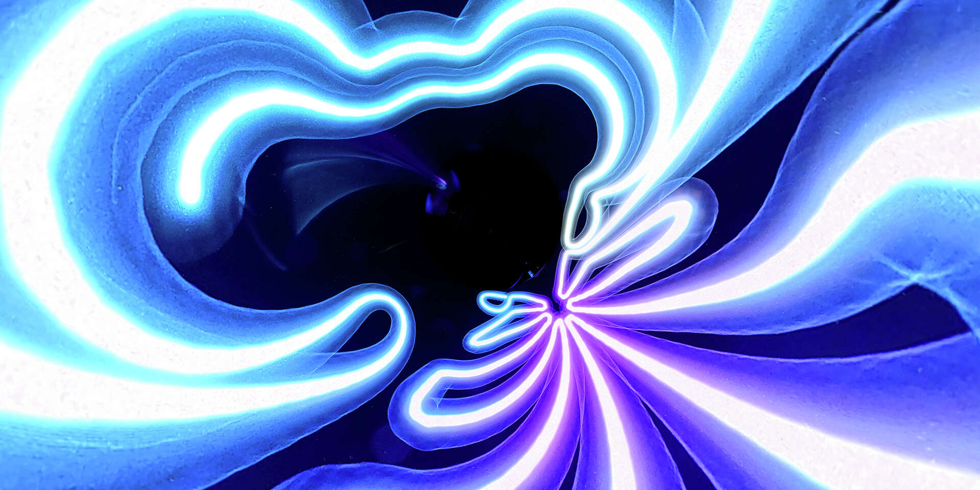 18 visual art events to put on your calendar in 2024