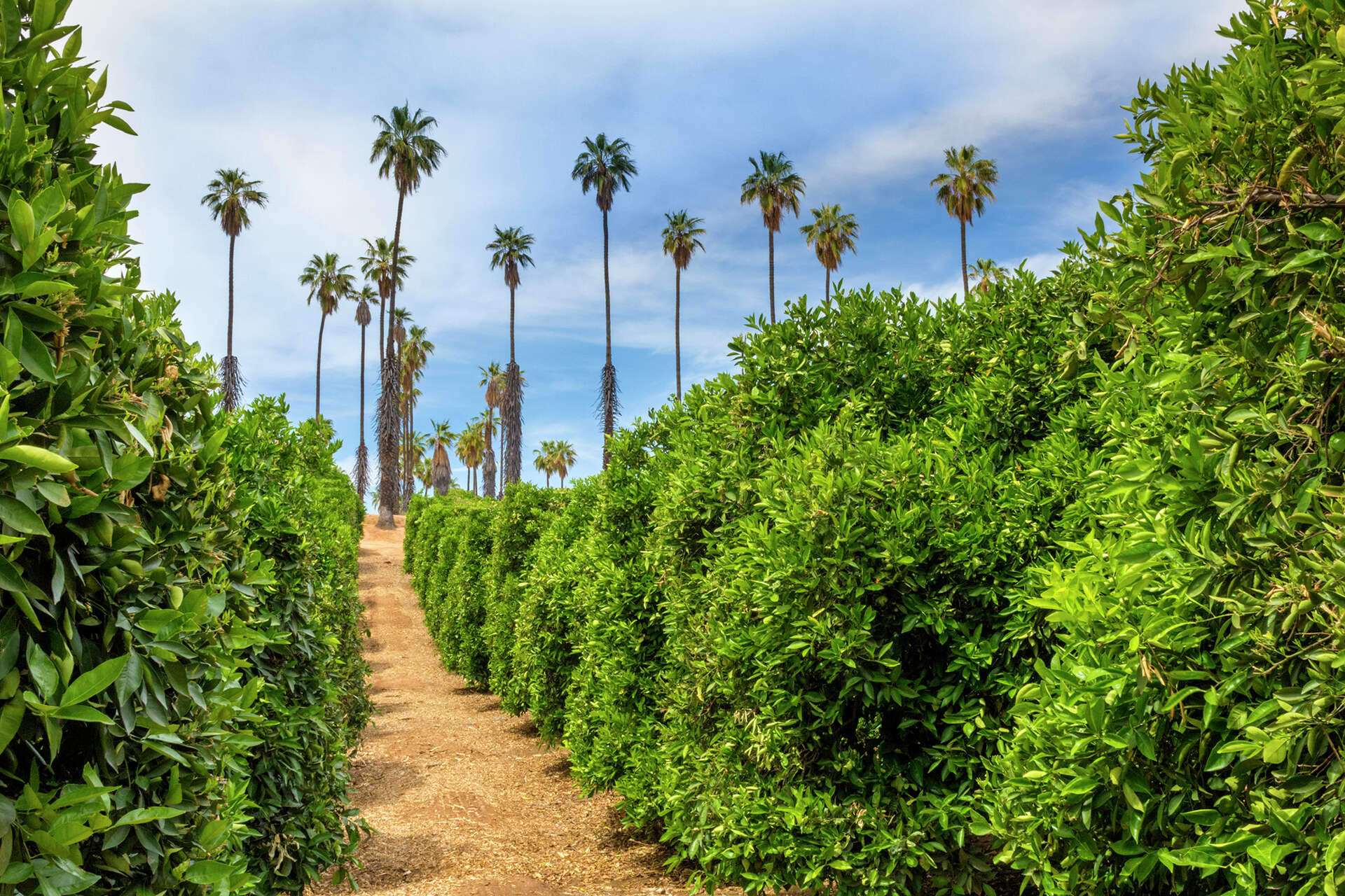 Calif. Citrus State Historic Park is an overlooked roadside attraction