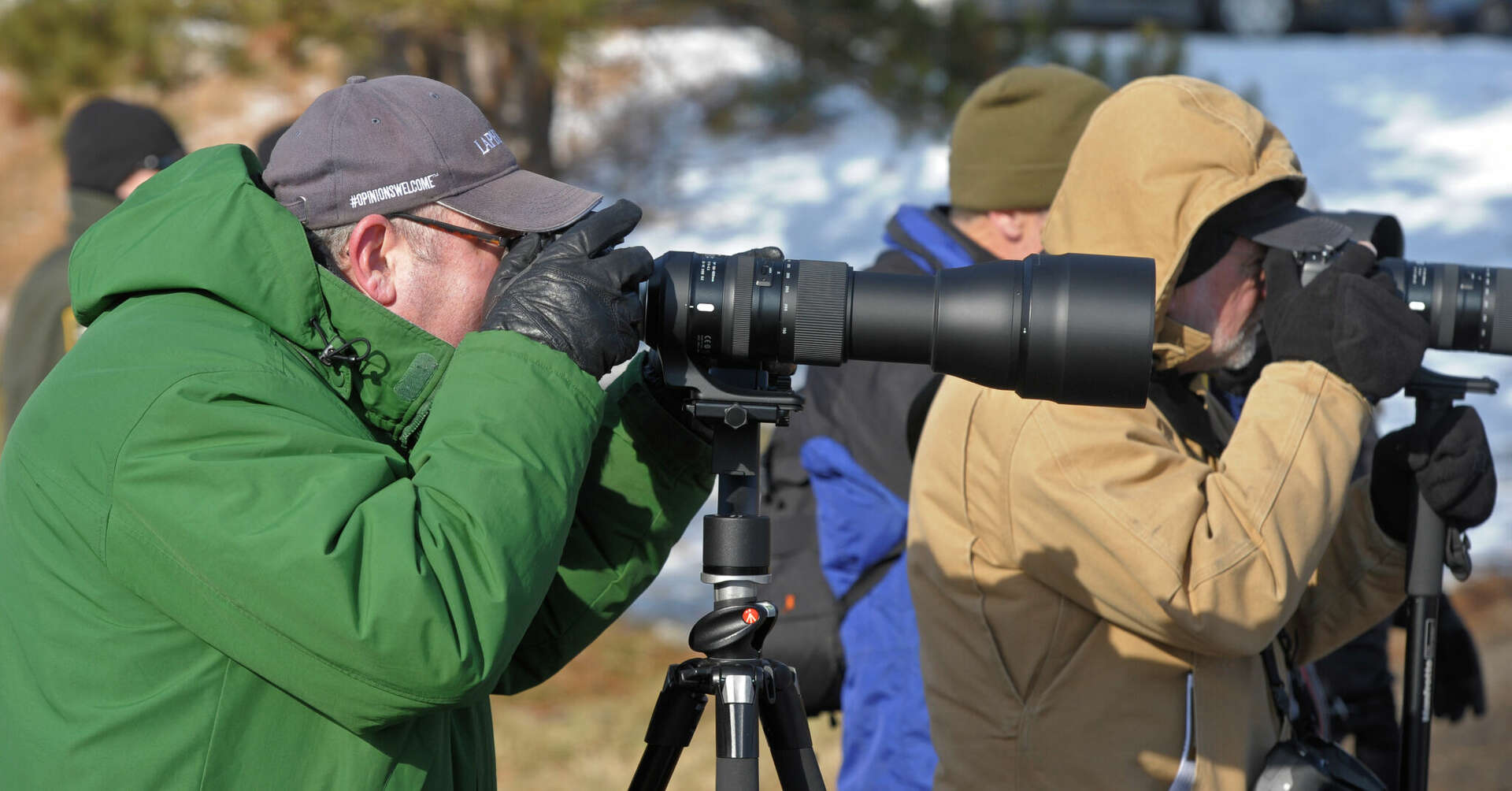 Shepaug Dam in Southbury opens bald eagle observatory for 38th season