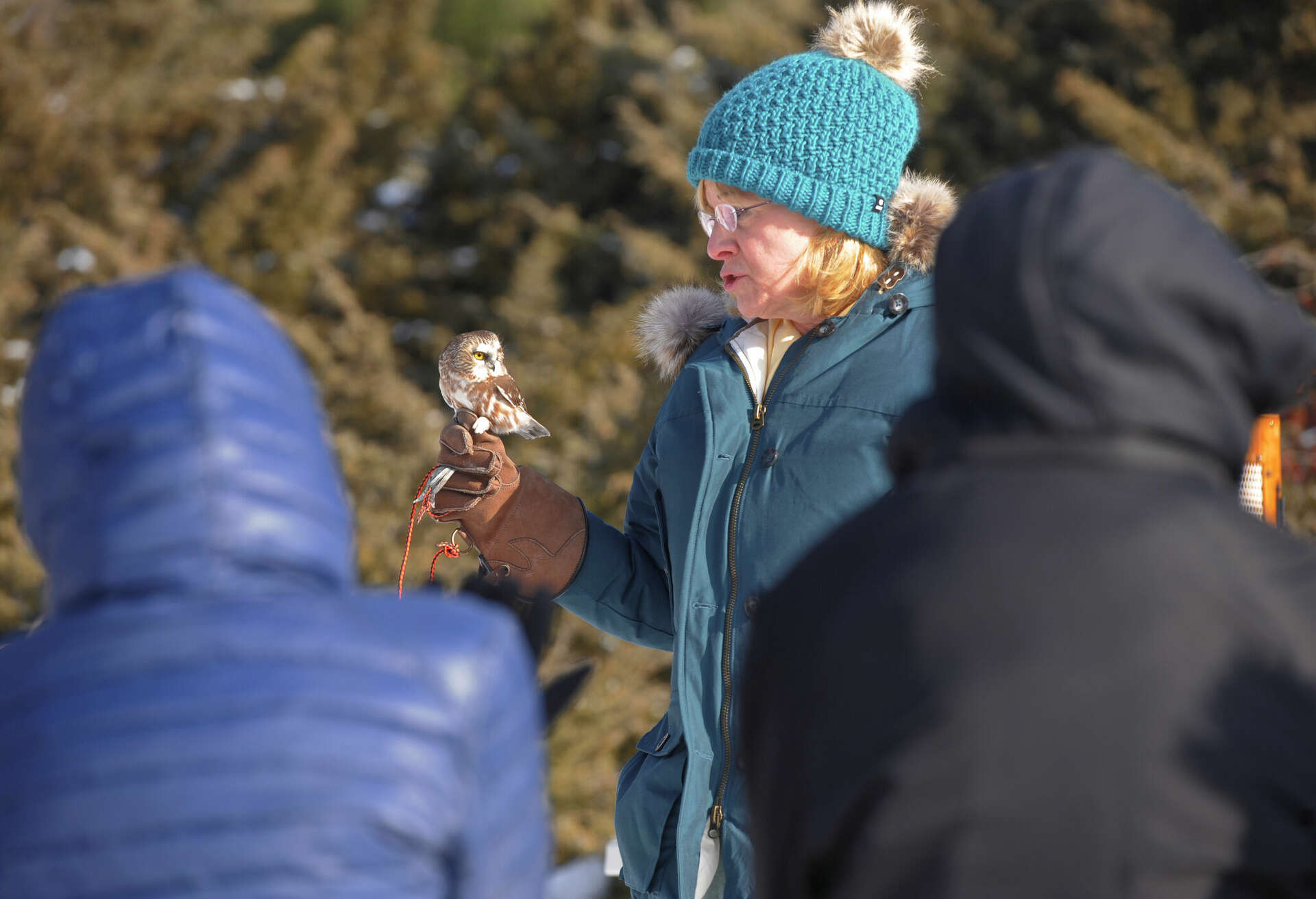 Shepaug Dam in Southbury opens bald eagle observatory for 38th season