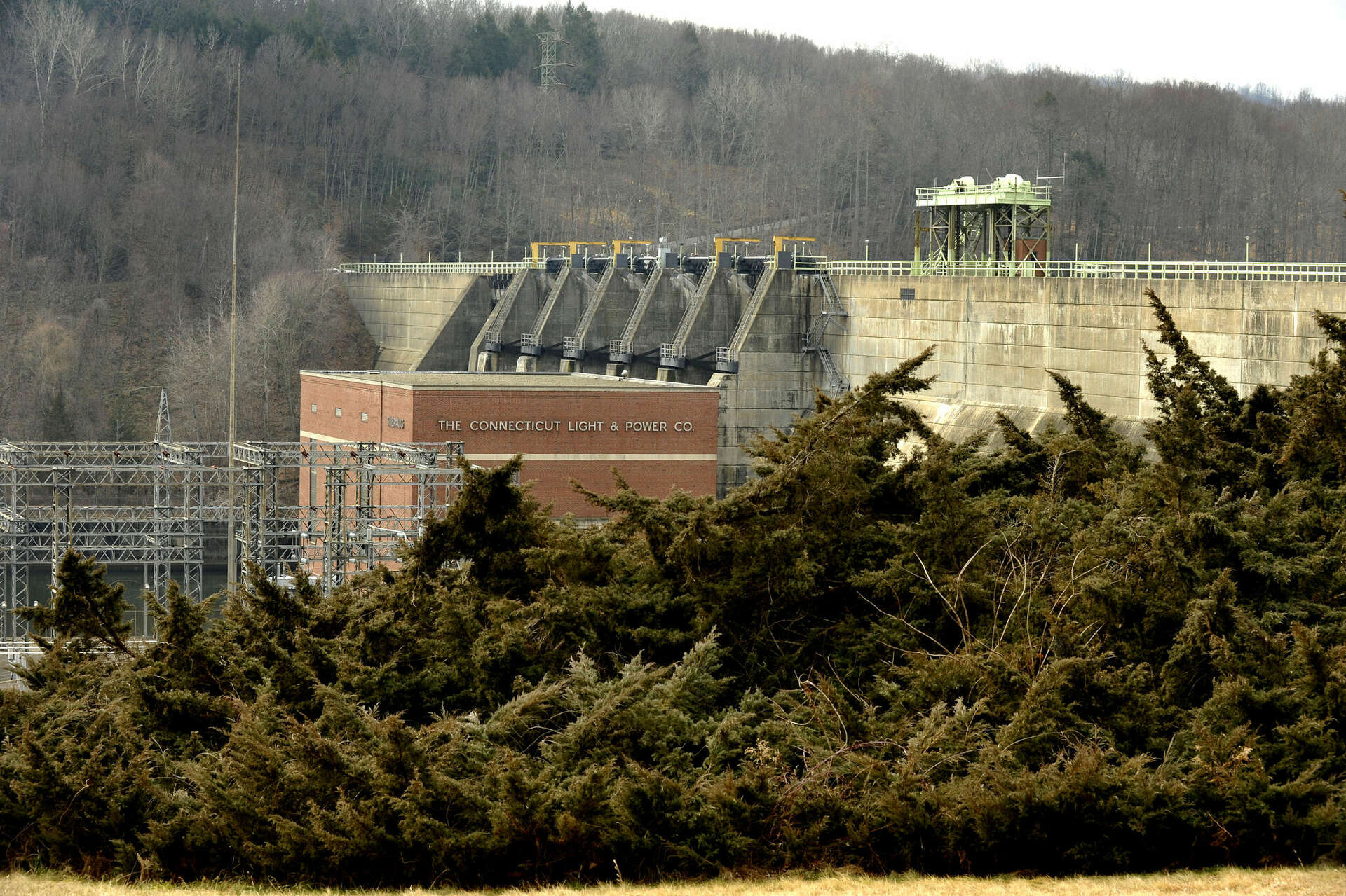Shepaug Dam in Southbury opens bald eagle observatory for 38th season