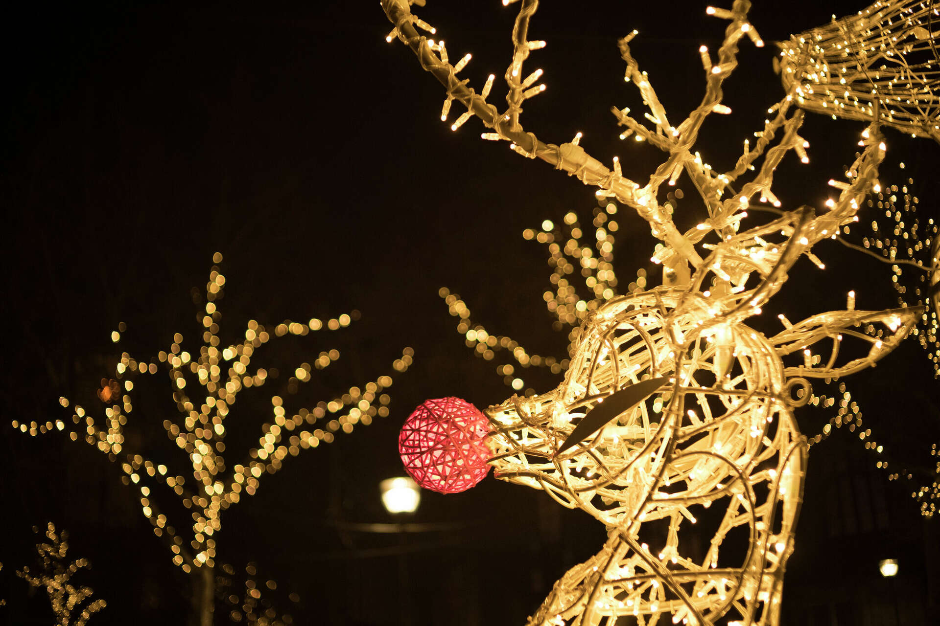 Fog and rain: The science behind why Santa needed Rudolph's red glow