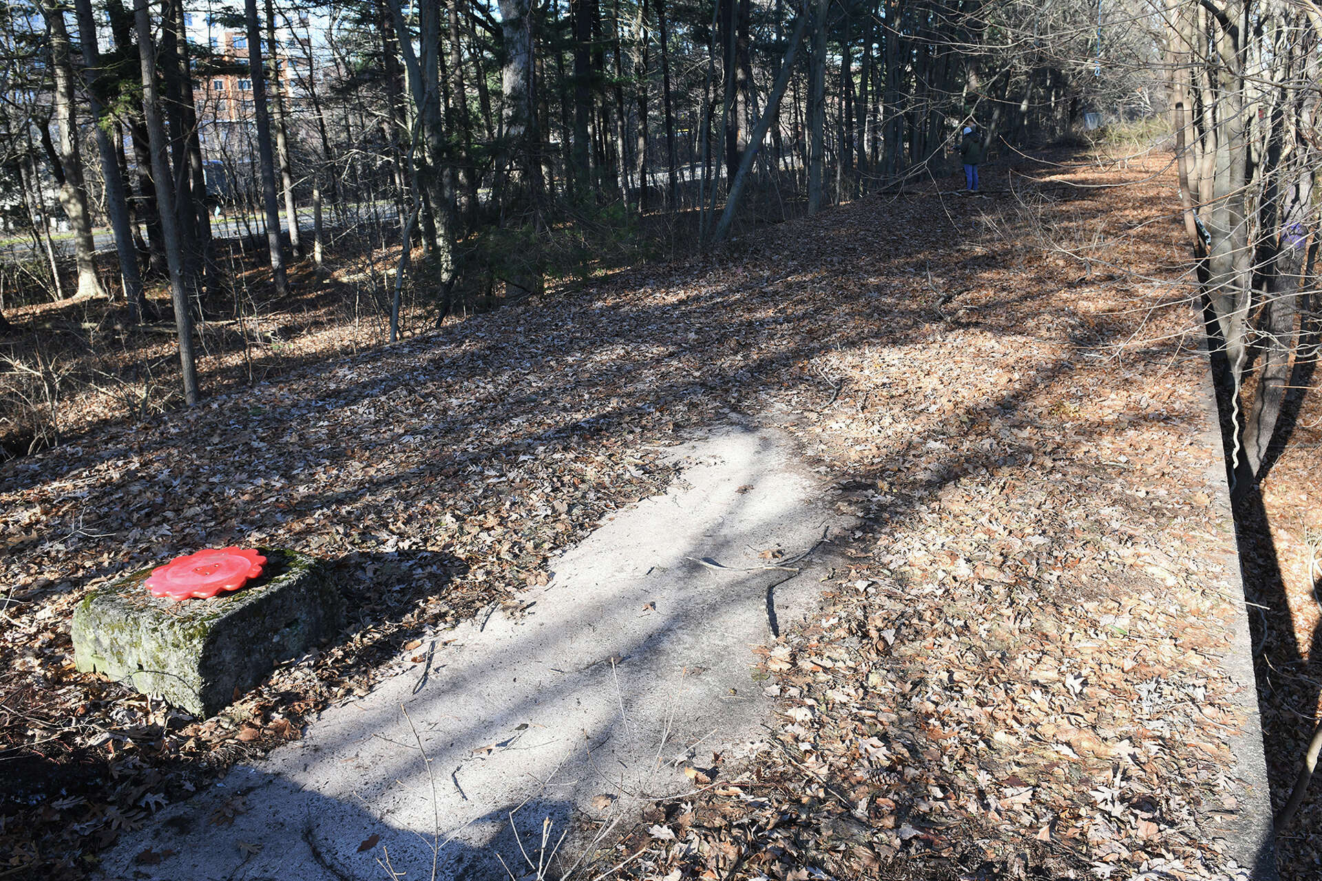 Hamden nonprofit converting former shooting range into healing garden