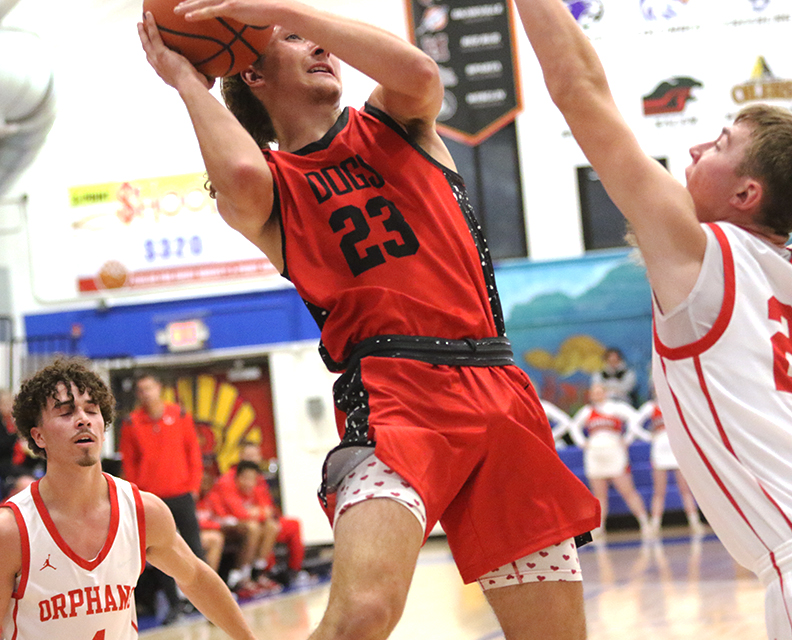 FRIDAY BASKETBALL: Dogs beat B-Hill; Jersey splits at Waterloo