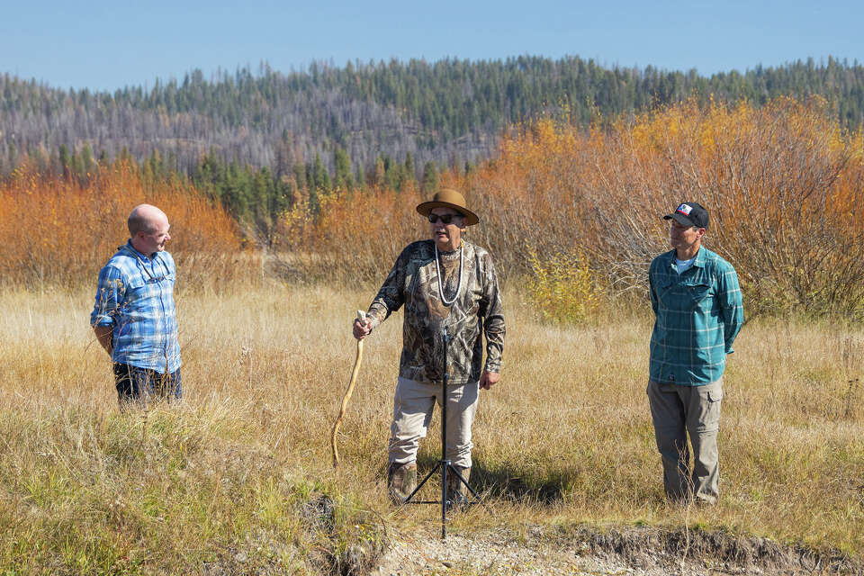 Native Calif. species released in the wild for first time in 75 years