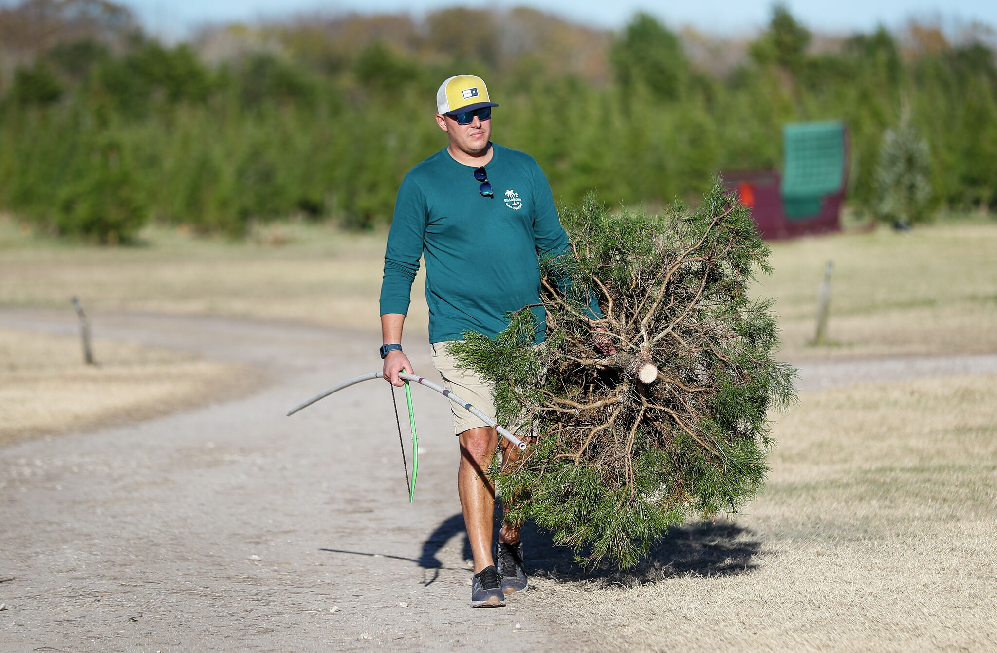 Here's how to recycle your Christmas tree in Houston