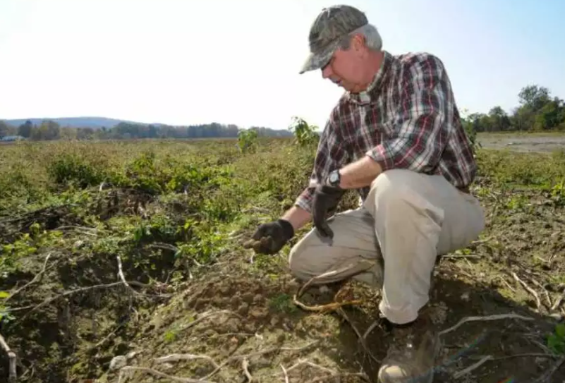 Hochul signs ban on neonicotinoids pesticide in New York