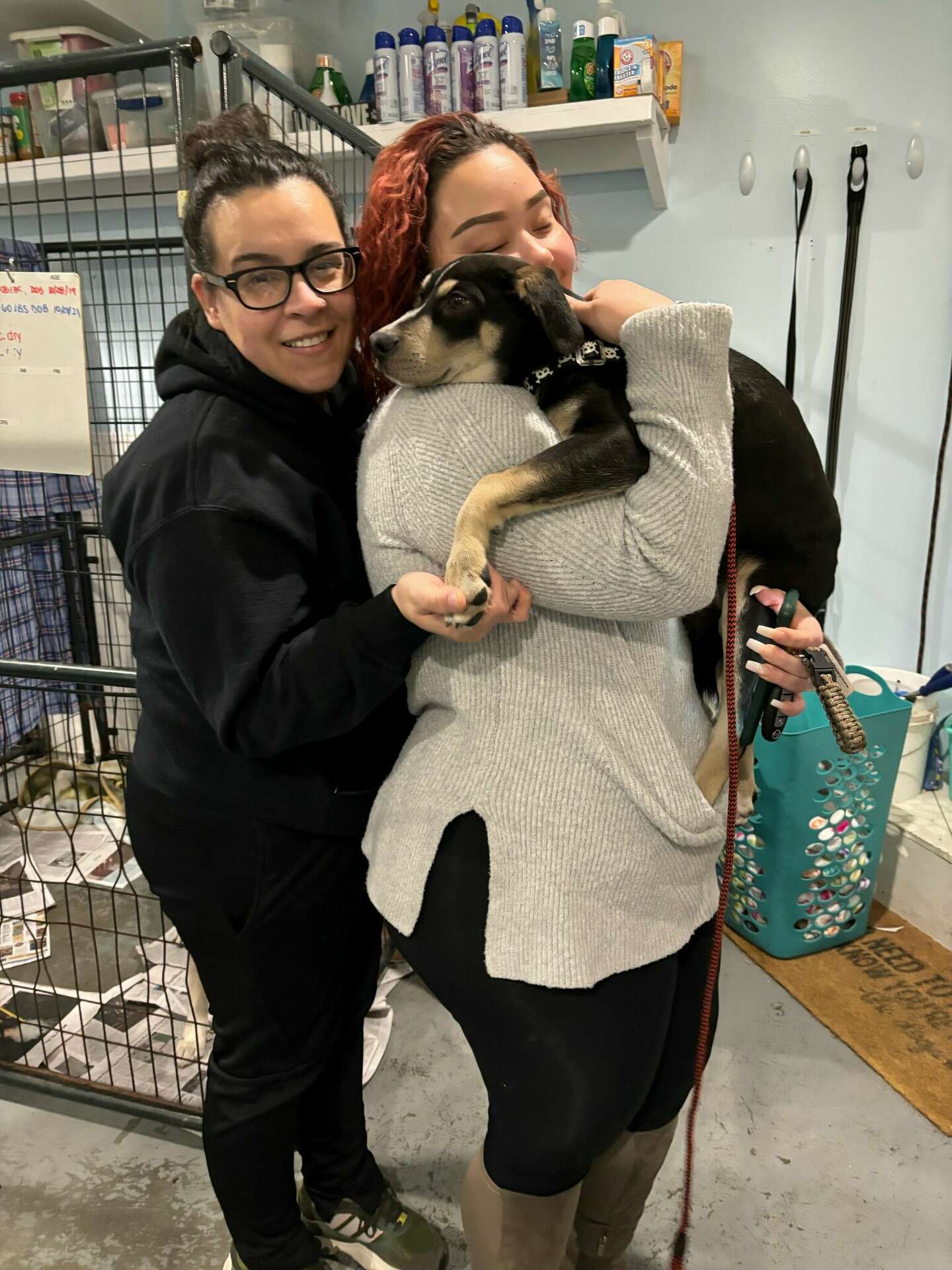 Hamden shelter matches dogs with families for holiday sleepovers