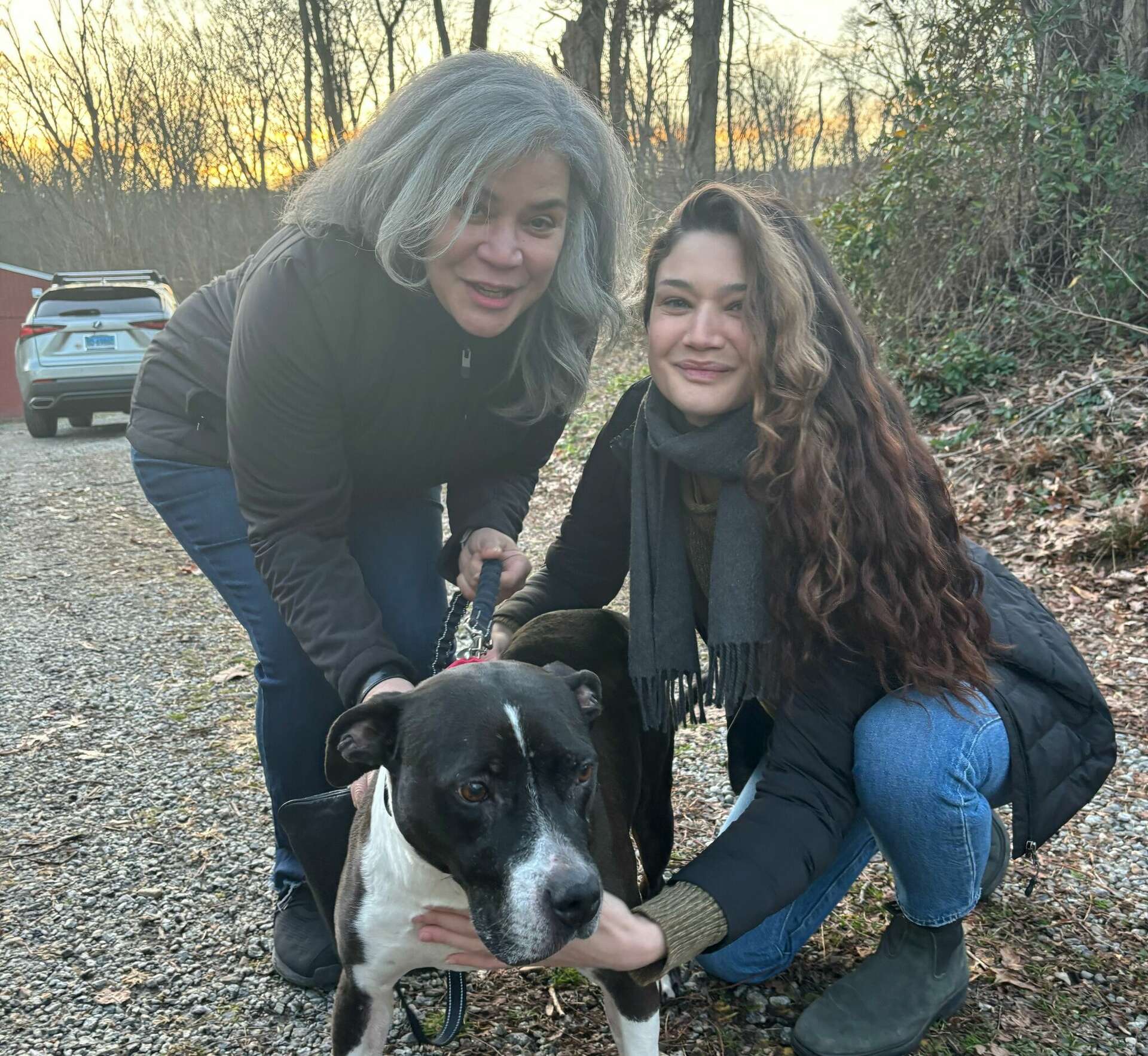 Hamden shelter matches dogs with families for holiday sleepovers