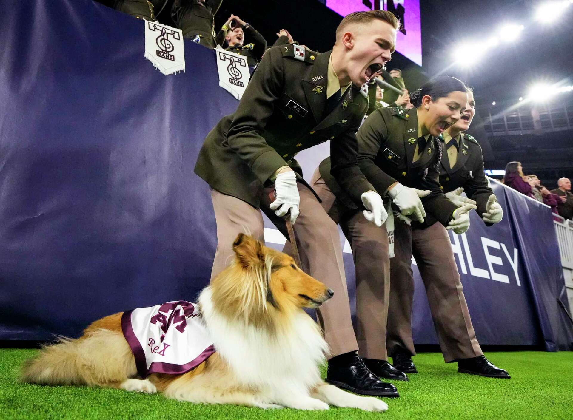 Texas A&M mascot Reveille X has right eye removed during surgery