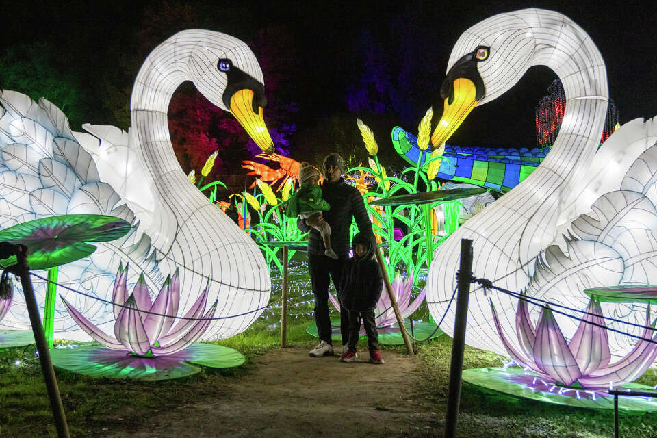 This Oakland 'Glowfari' lights up the longest nights of the year