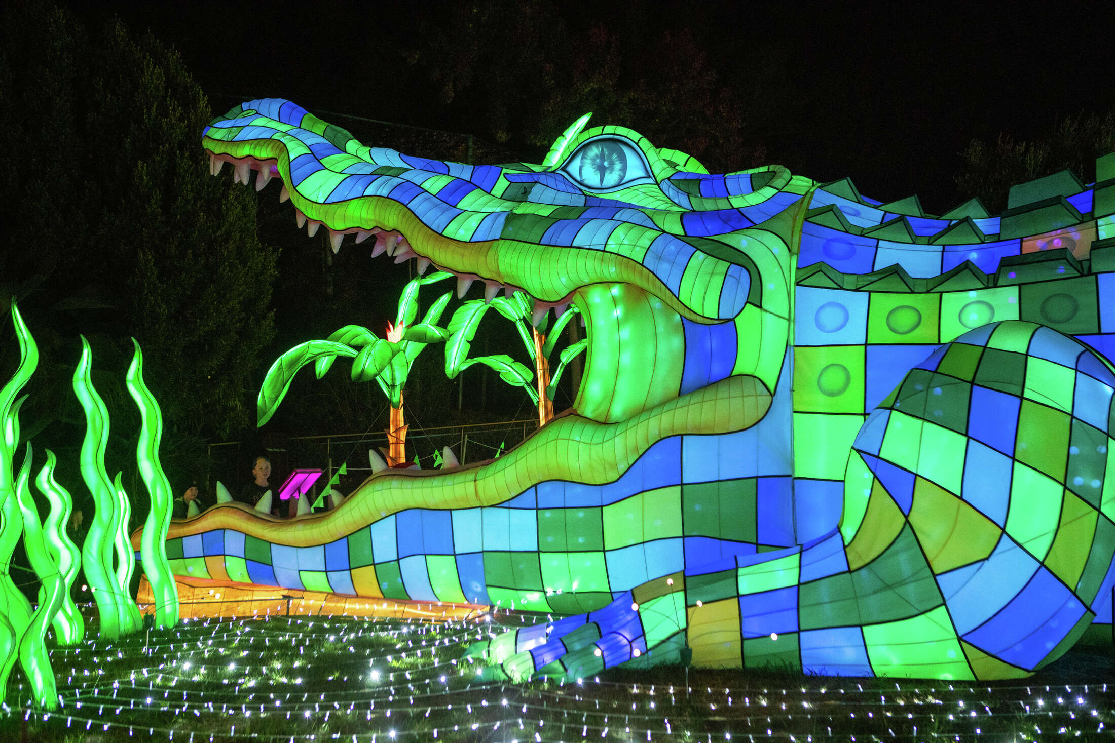 This Oakland 'Glowfari' lights up the longest nights of the year