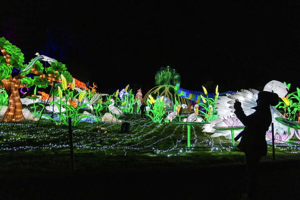 This Oakland 'Glowfari' lights up the longest nights of the year