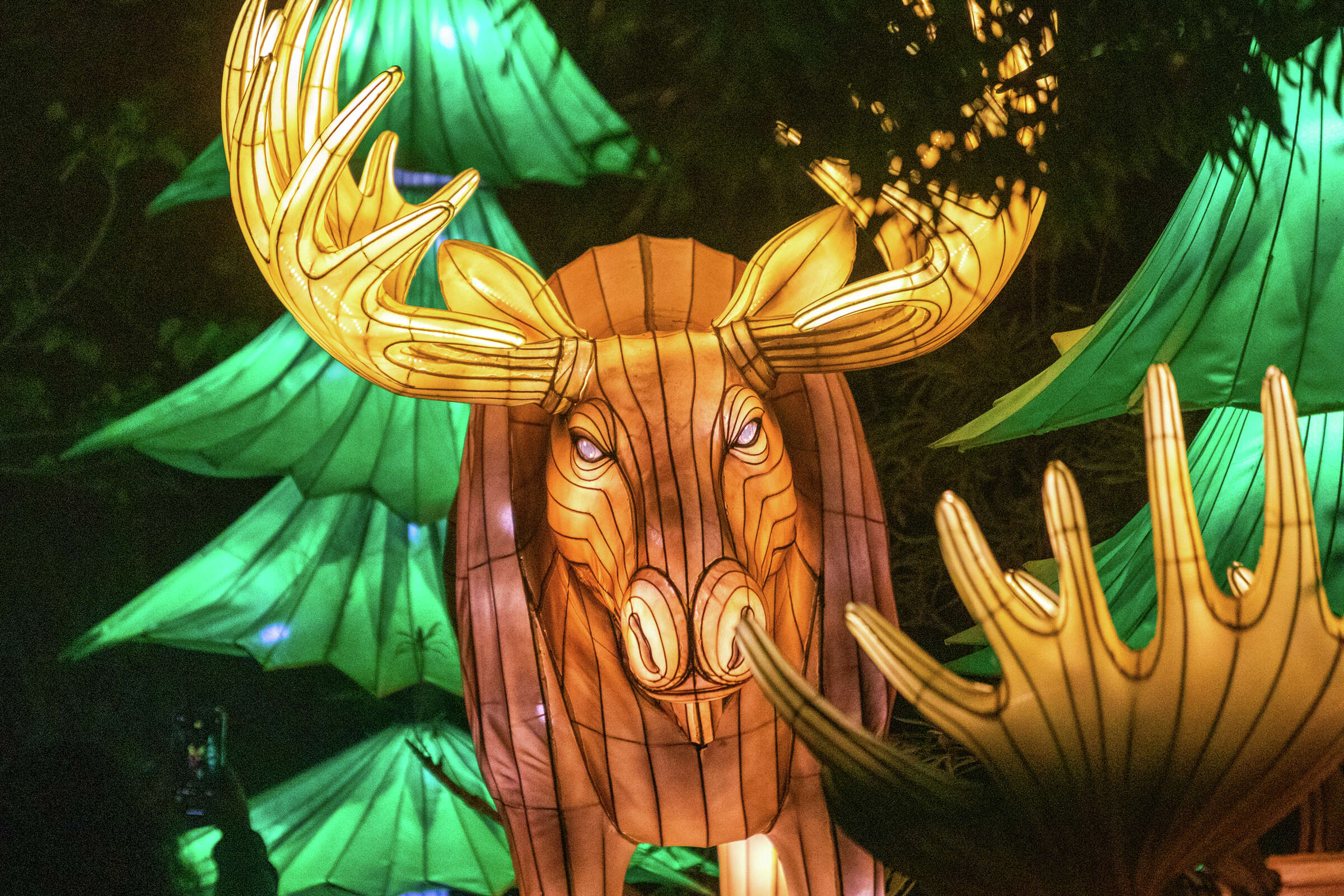 This Oakland 'Glowfari' lights up the longest nights of the year