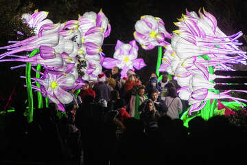 This Oakland 'Glowfari' lights up the longest nights of the year