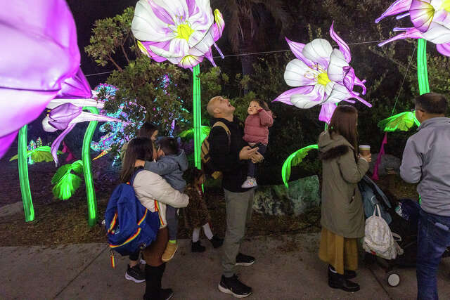 This Oakland 'Glowfari' lights up the longest nights of the year