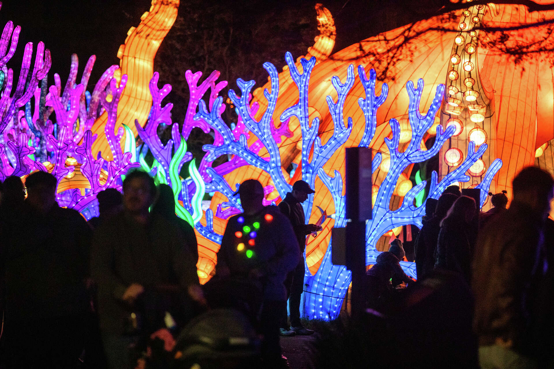 This Oakland 'Glowfari' lights up the longest nights of the year