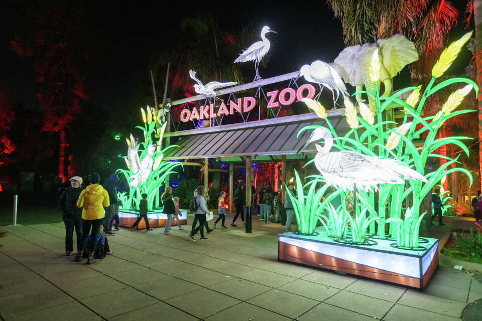 This Oakland 'Glowfari' lights up the longest nights of the year