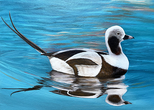 Winner of CT duck art contest for kids could end up on USPS stamp