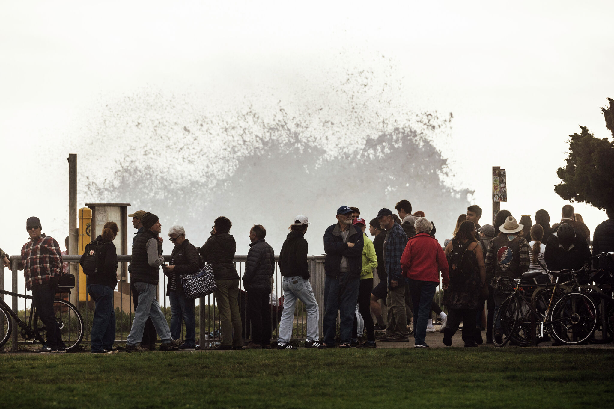Danger of California's big waves on coast shown on viral videos