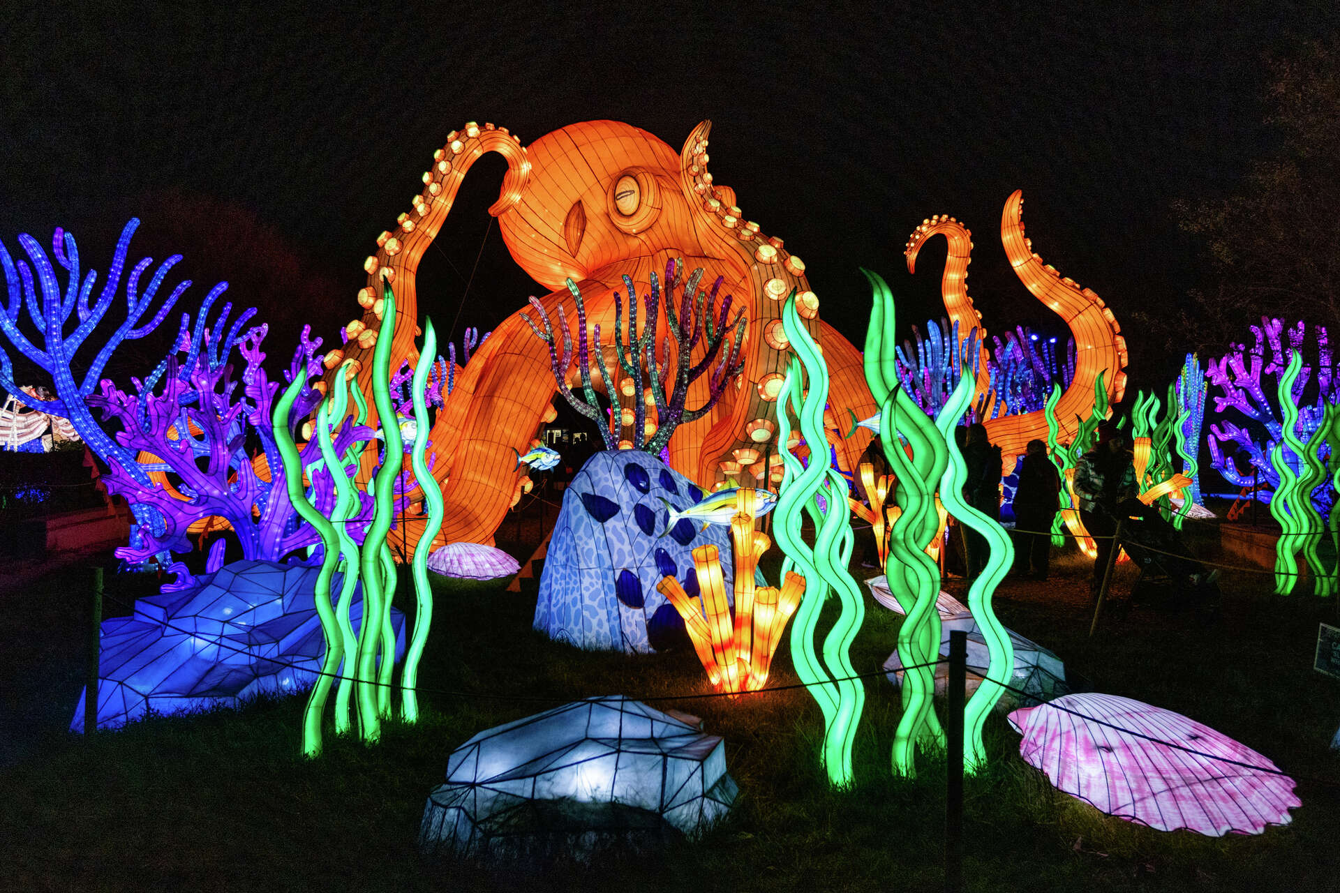 This Oakland 'Glowfari' lights up the longest nights of the year