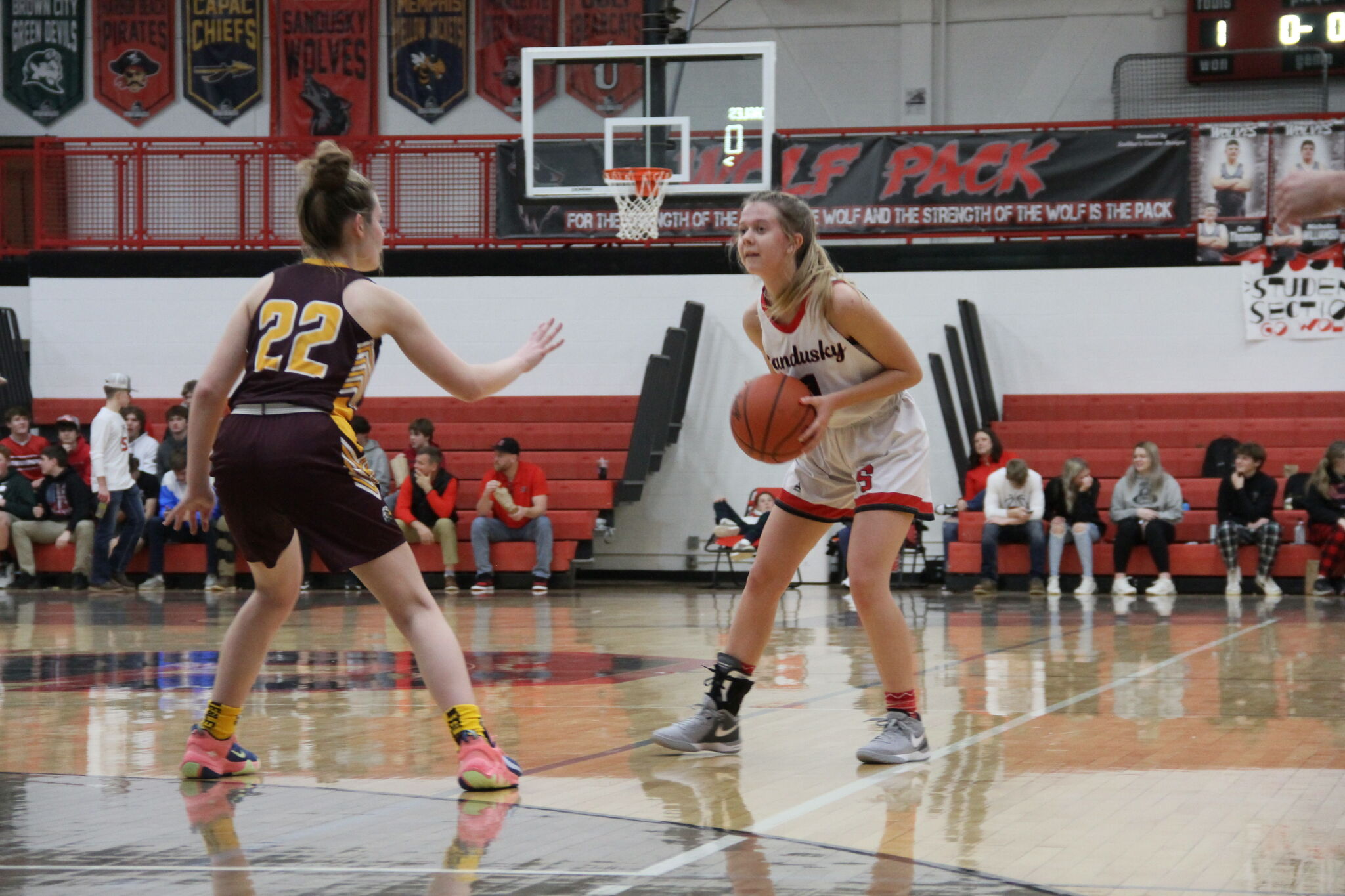 Tribune Female Athlete of the Week: Deckerville's Emma Salowitz