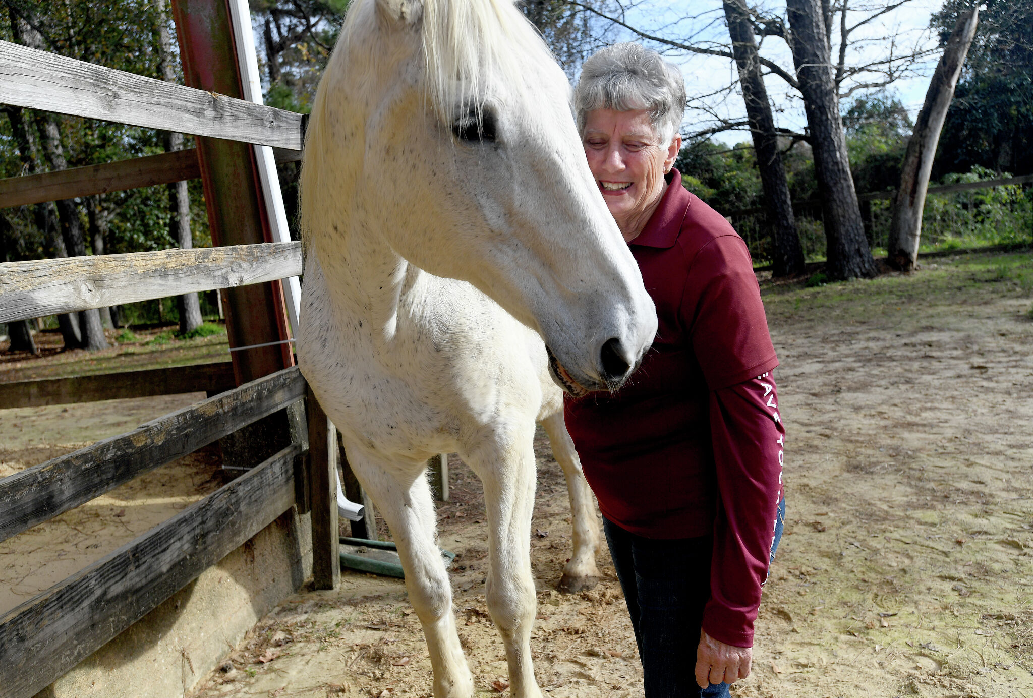 Stable Spirit owner Katie Durio says horses are transforming