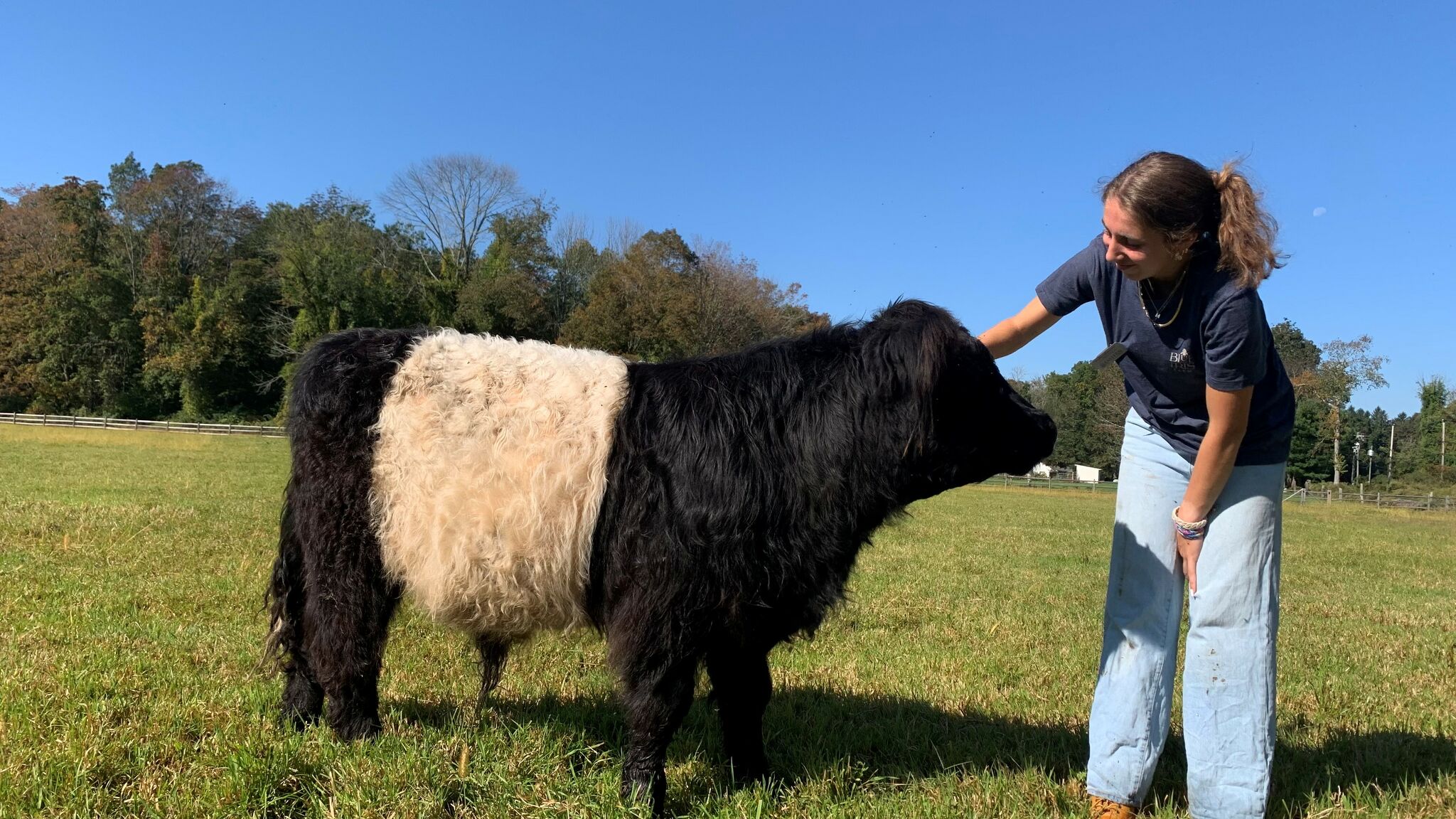 How Lebanon's Blue Iris Farm became a sanctuary for animals and people