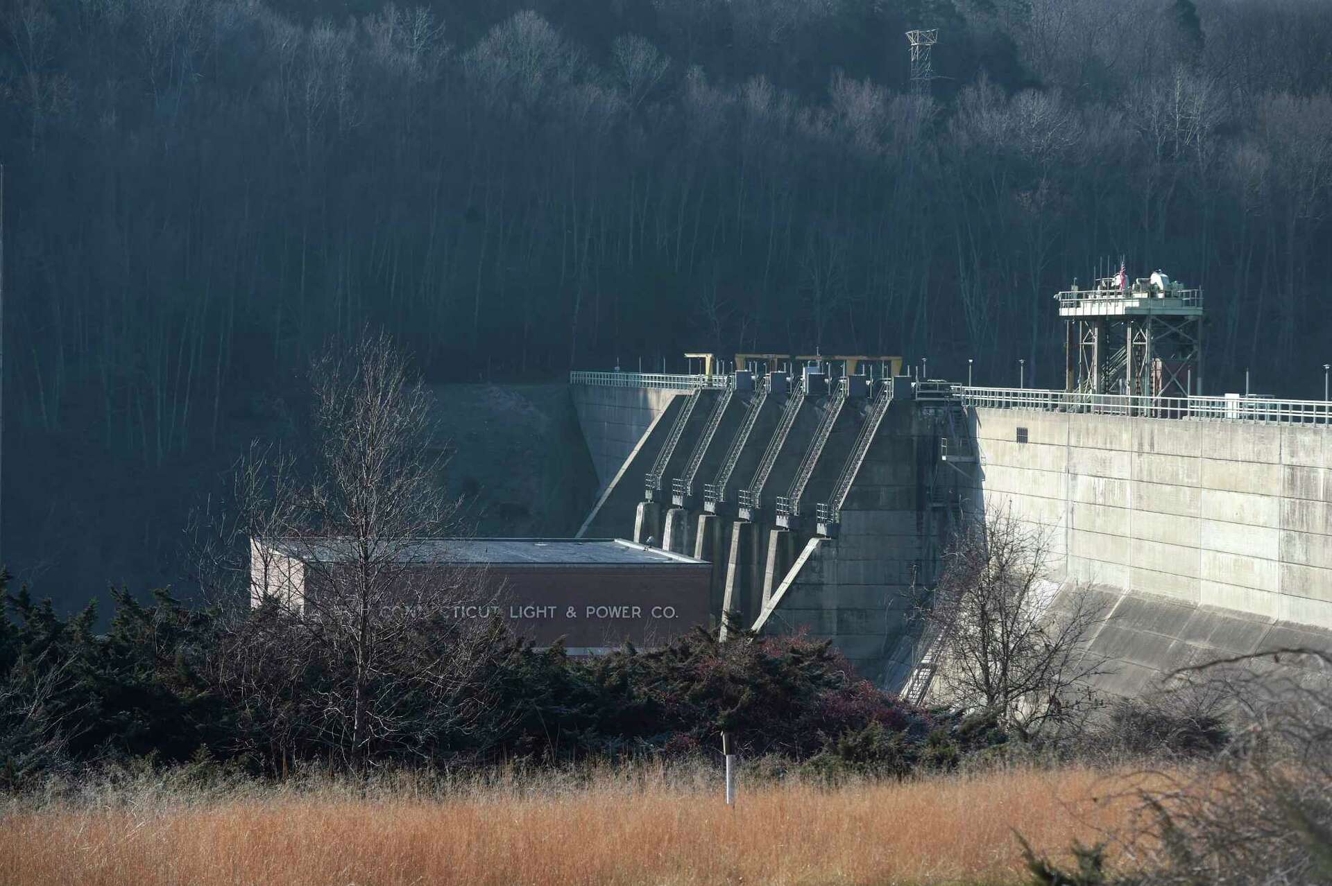 Bird watchers flock to Southbury dam in hopes of spotting a bald eagle