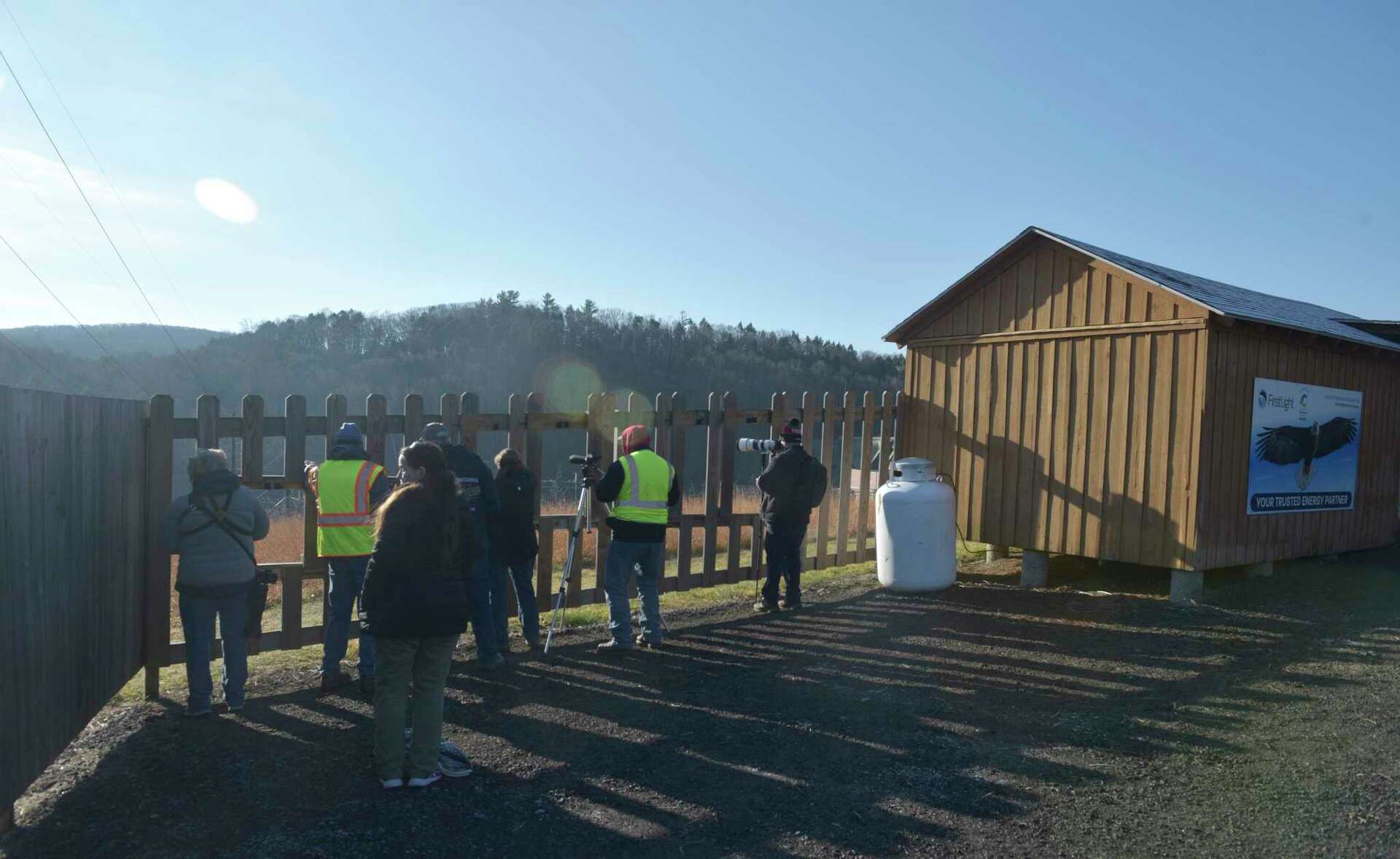 Bird watchers flock to Southbury dam in hopes of spotting a bald eagle