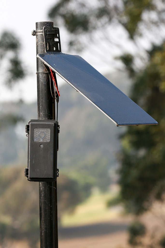 Sugar Land will get new license plate reading cameras