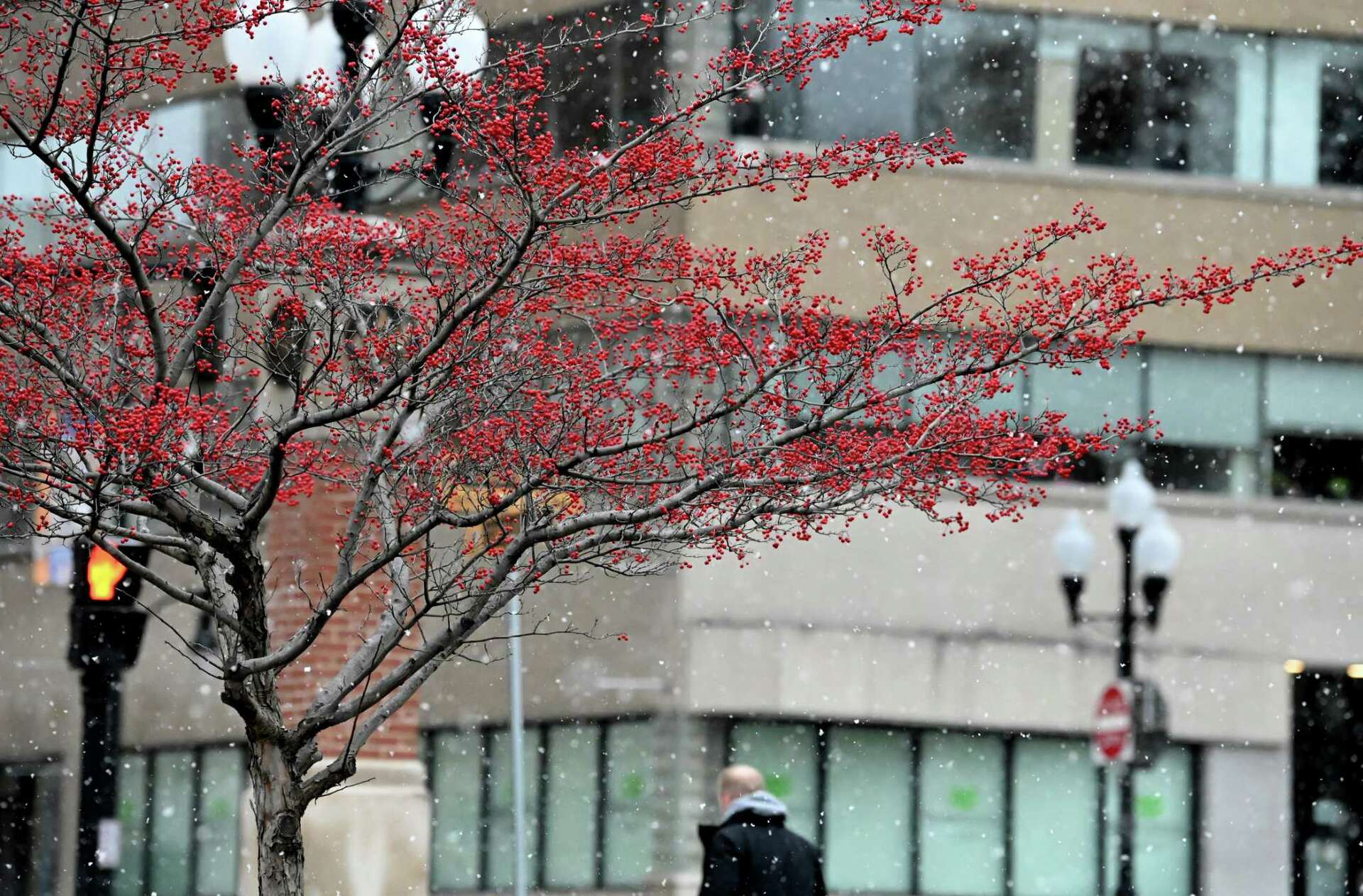 Coastal storm expected to hit Albany area with up to a foot of snow