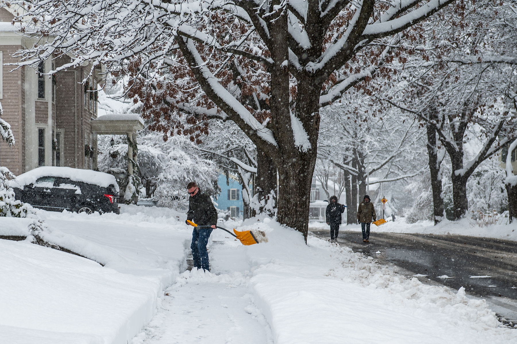 Donna Liquori's first Bibliofiles column for Times Union