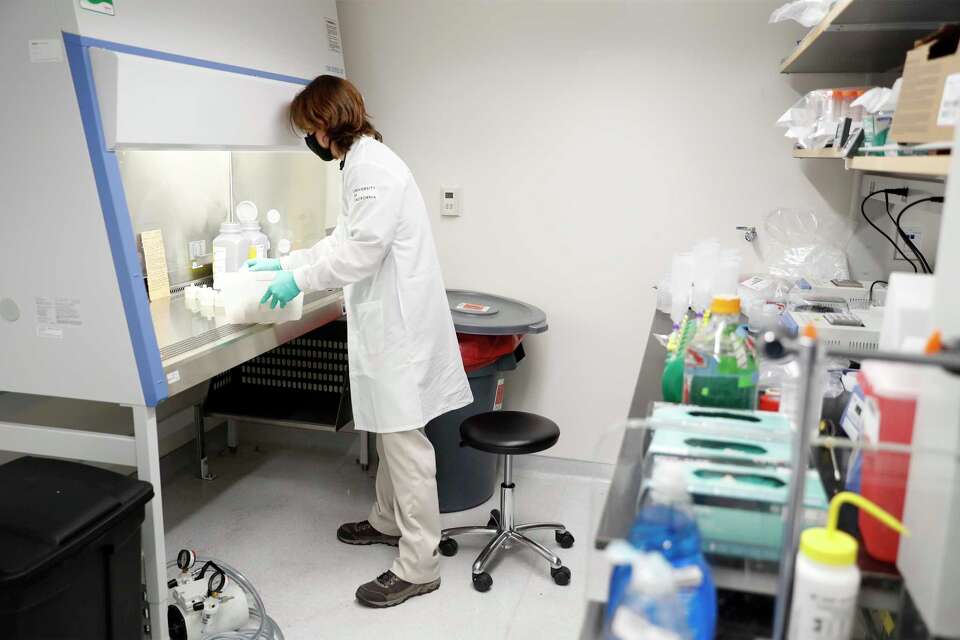 Bay Area wastewater data reveals alarming COVID spike