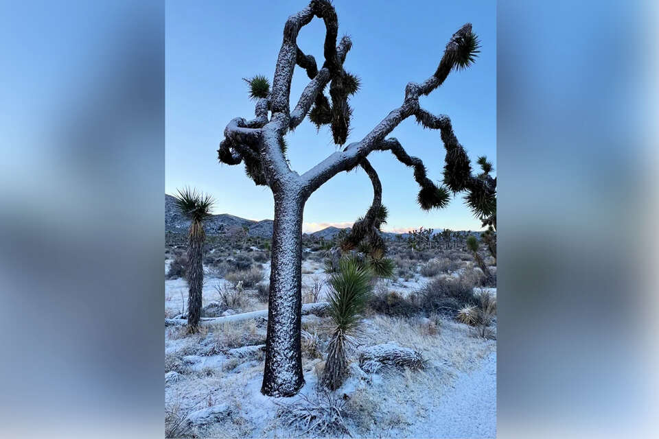 Rare snow creates an otherworldly beauty in Calif. national park