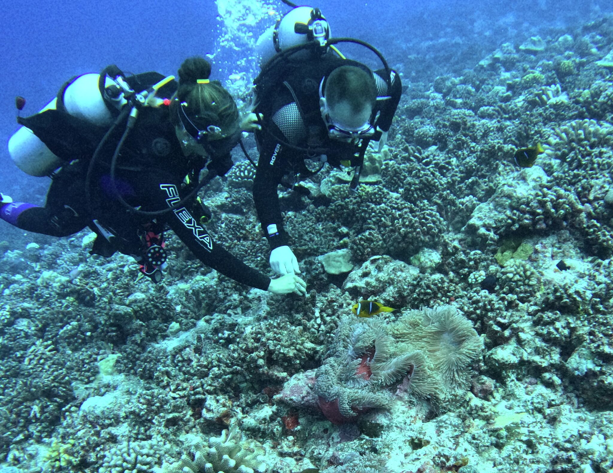 Chalk Talk: Norwalk teacher goes underwater to create science lessons