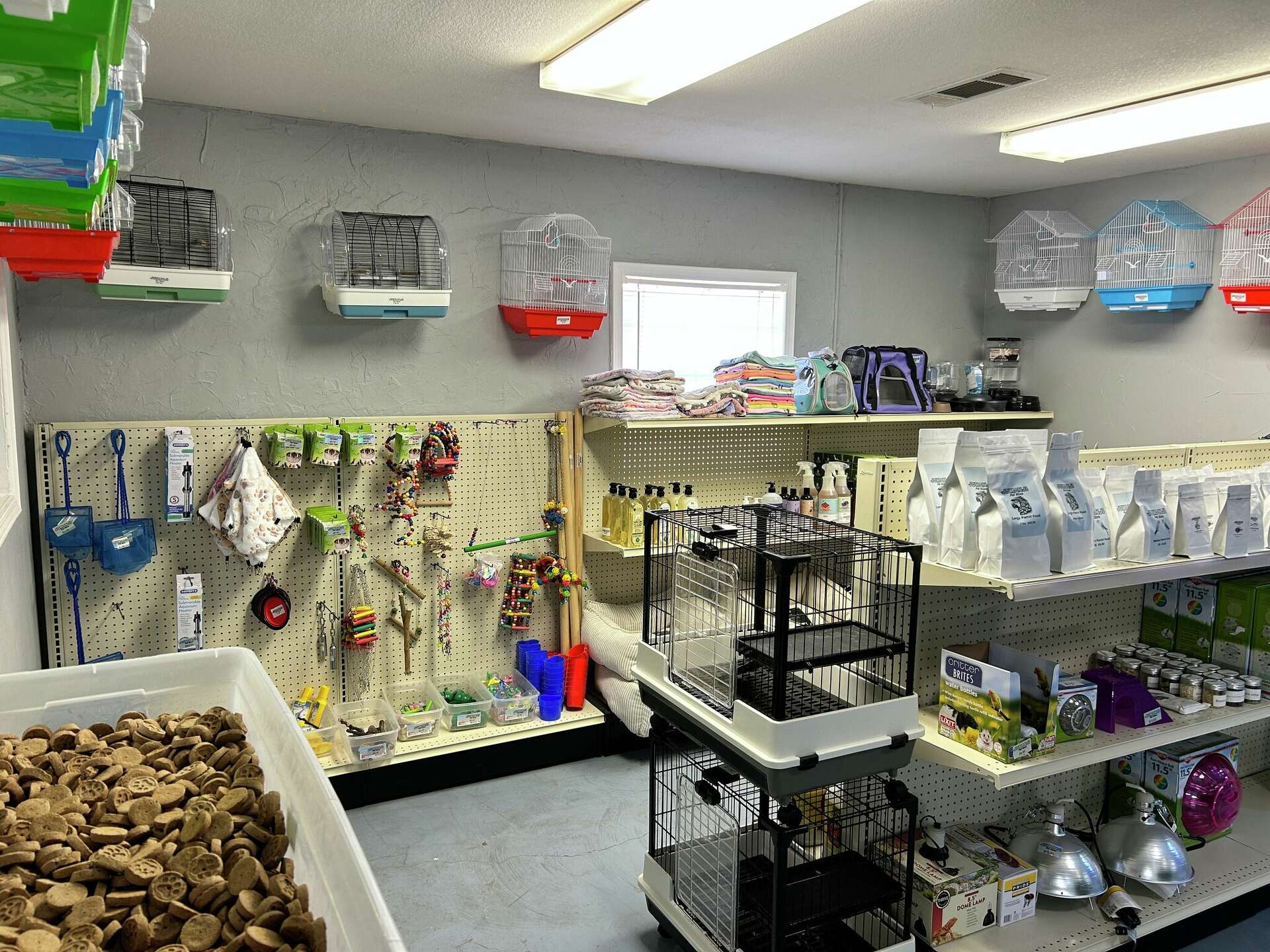 Jumanji, an exotic pet store opens in Midland, Texas