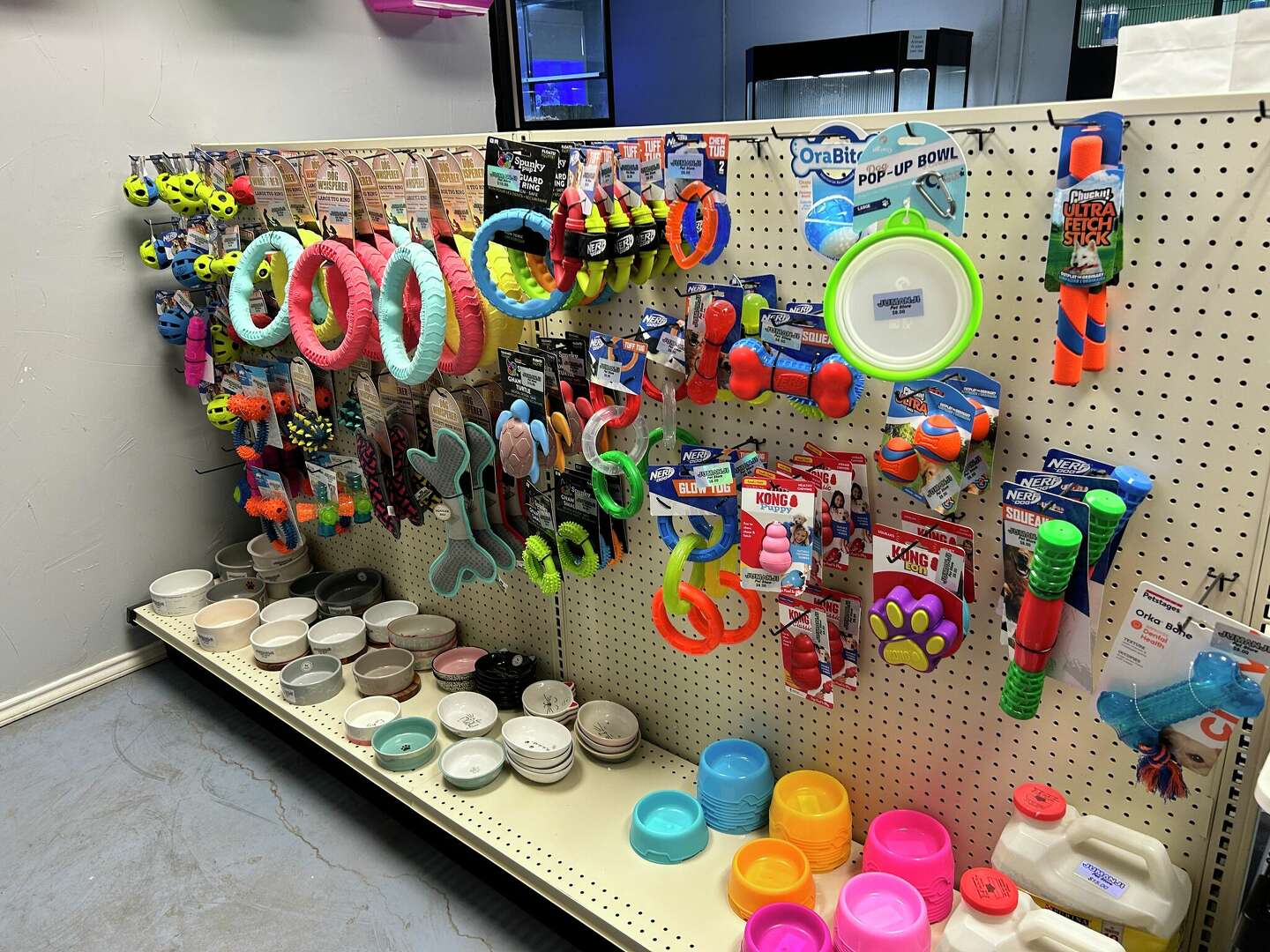 Jumanji, an exotic pet store opens in Midland, Texas