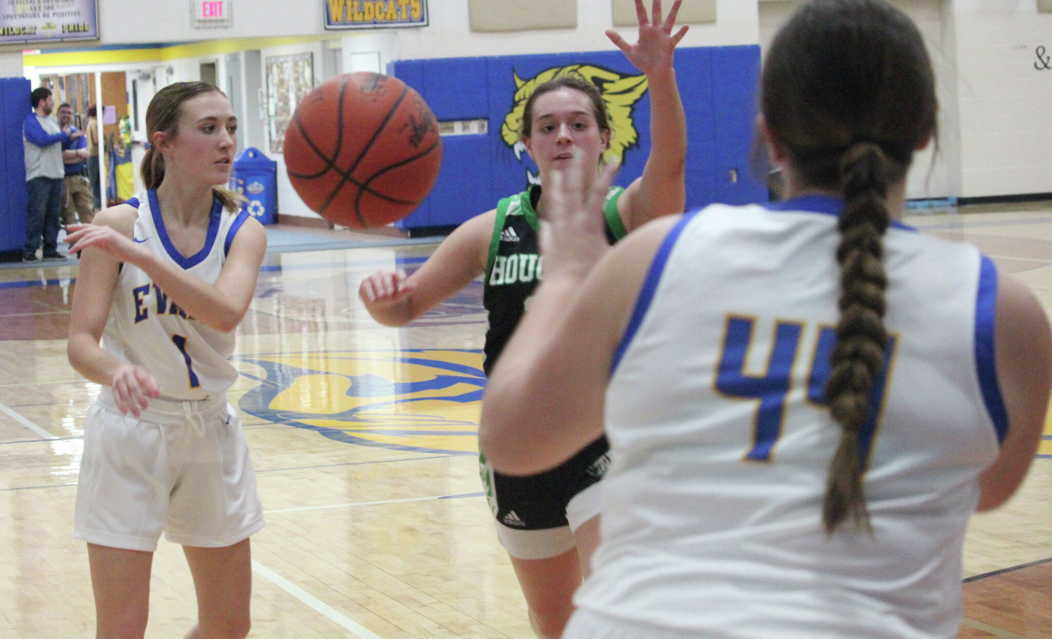 Gray nets 19 points in Wildcat victory