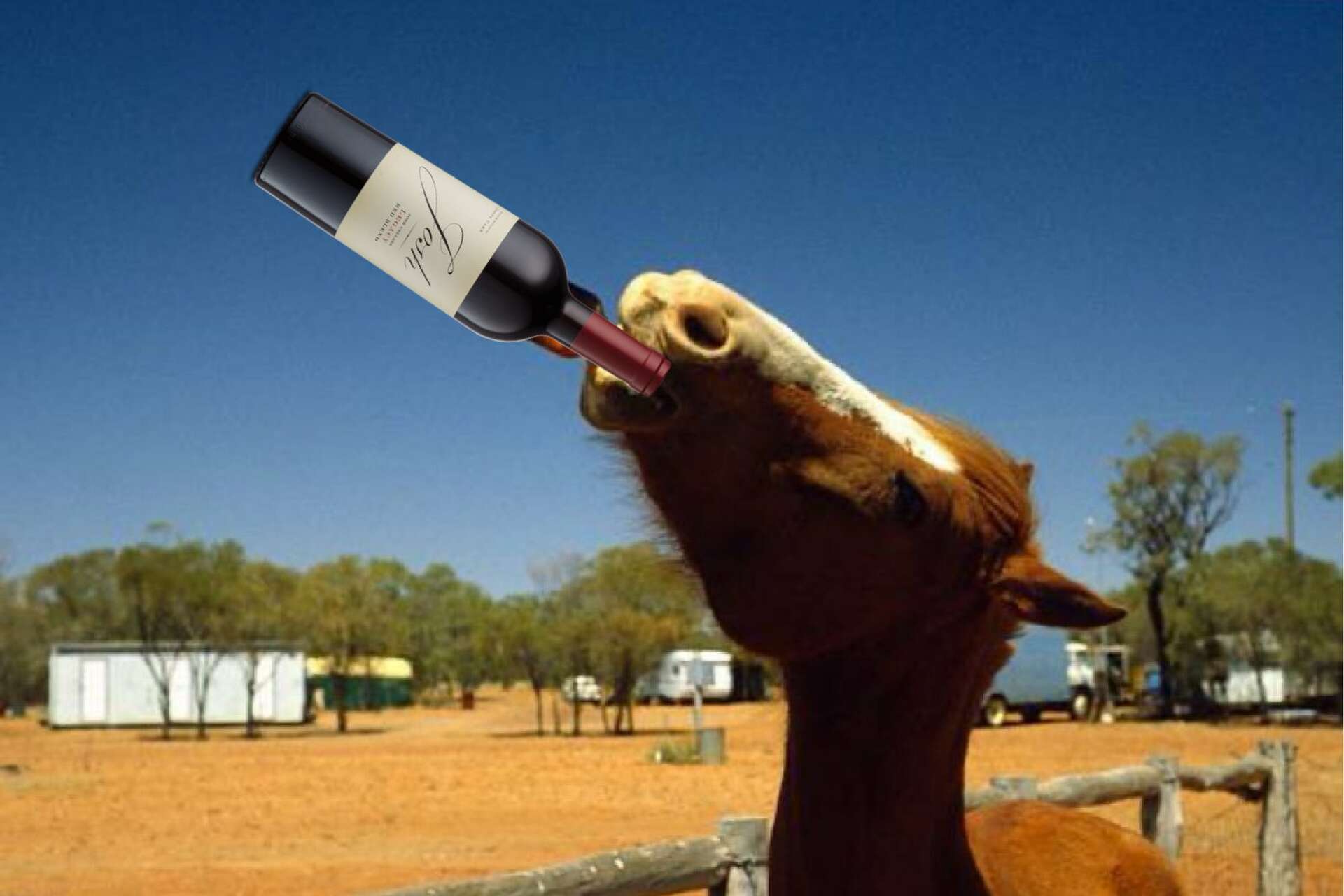 Josh Cellars wine is getting the meme treatment on Twitter