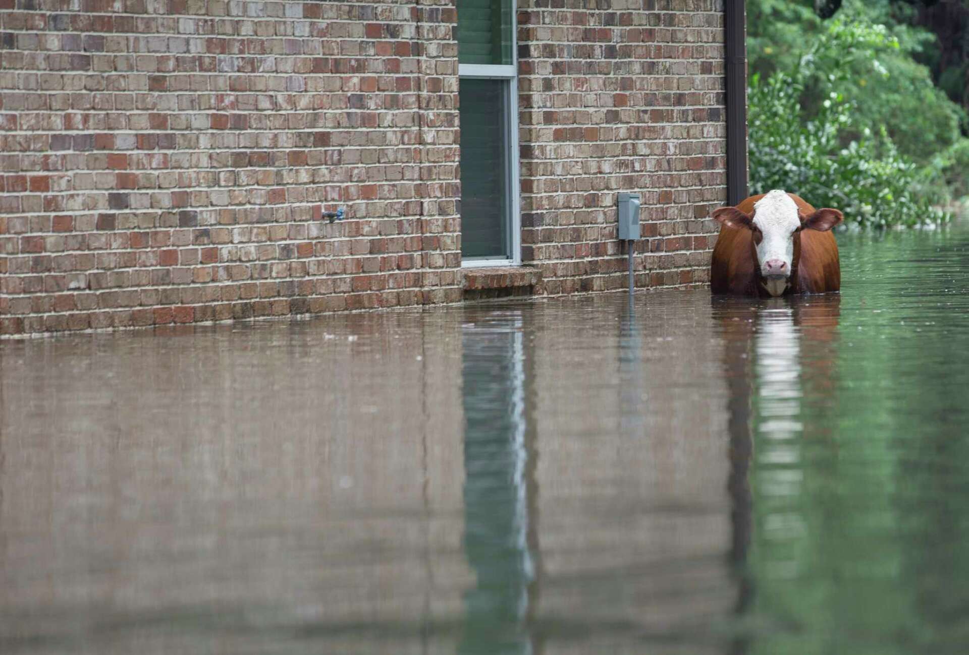 Supreme Court case DeVillier v. Texas: What you need to know