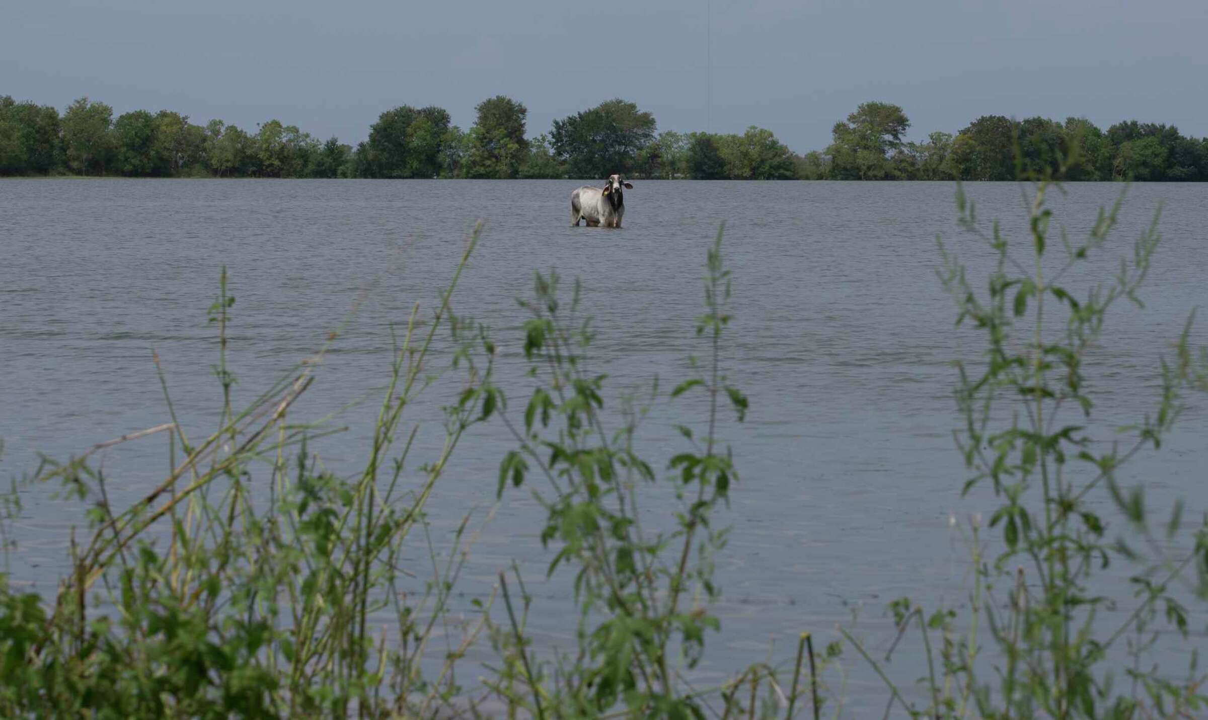 Supreme Court case DeVillier v. Texas: What you need to know