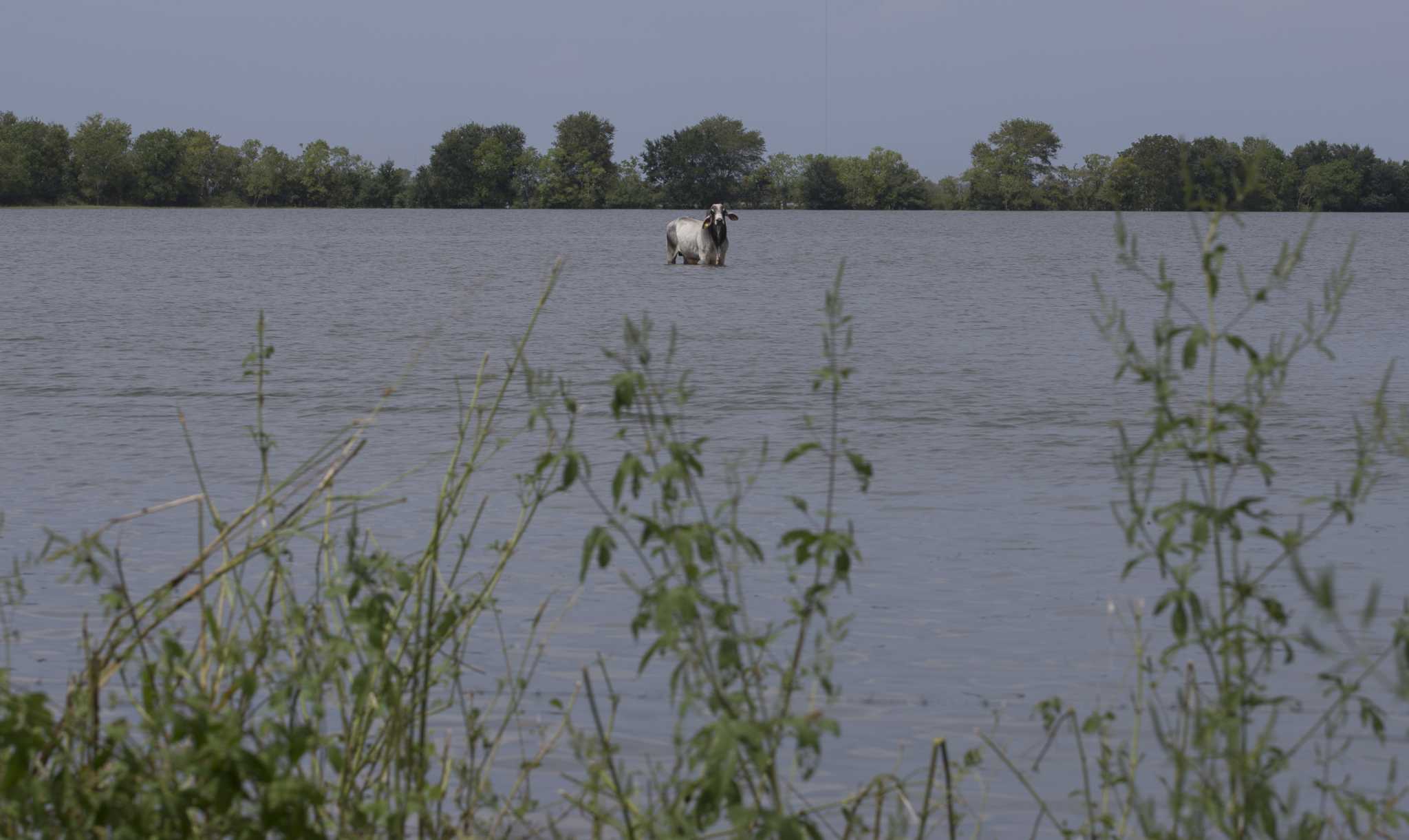 Supreme Court case DeVillier v. Texas: What you need to know