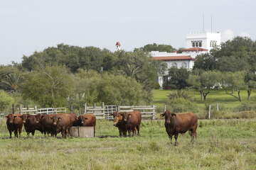 10 Texas ranchers ranked among biggest landowners in U.S.