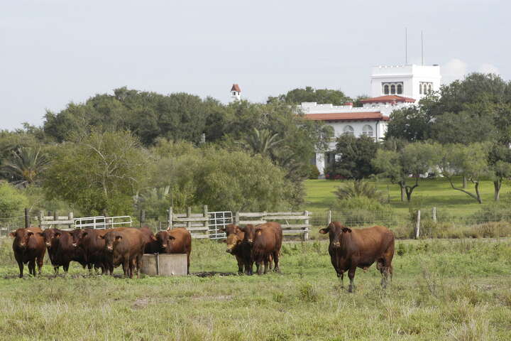 Where are the largest ranches in Texas?