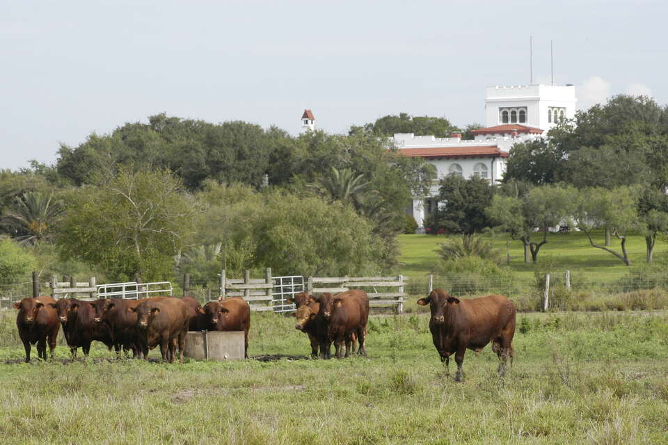 Where are the largest ranches in Texas?