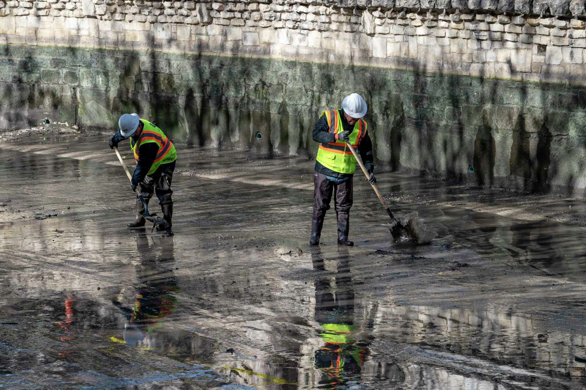 Nearly 2,000 invasive apple snails removed from San Antonio River